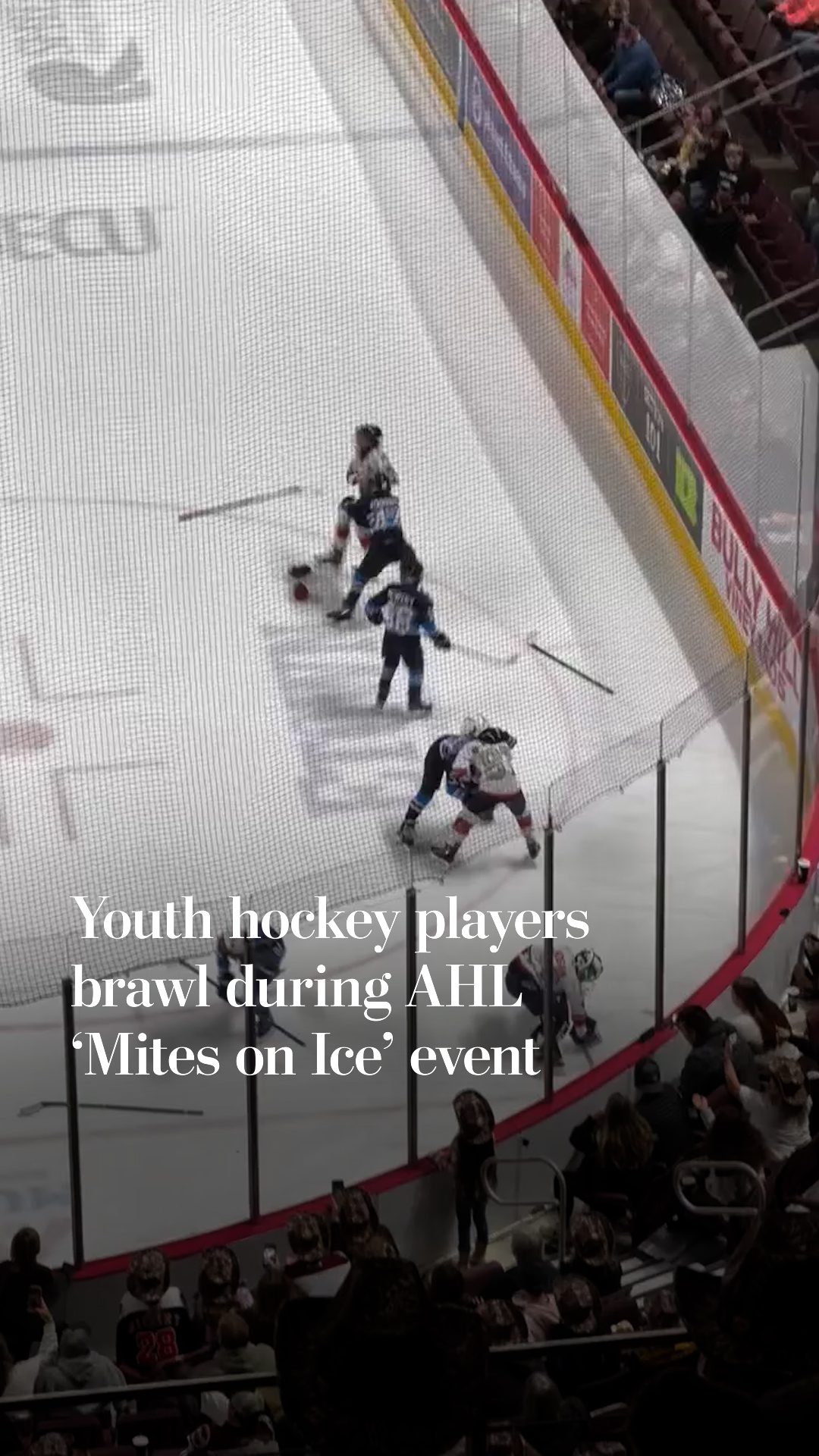 Youth hockey players brawl during AHL 'Mites on Ice' event