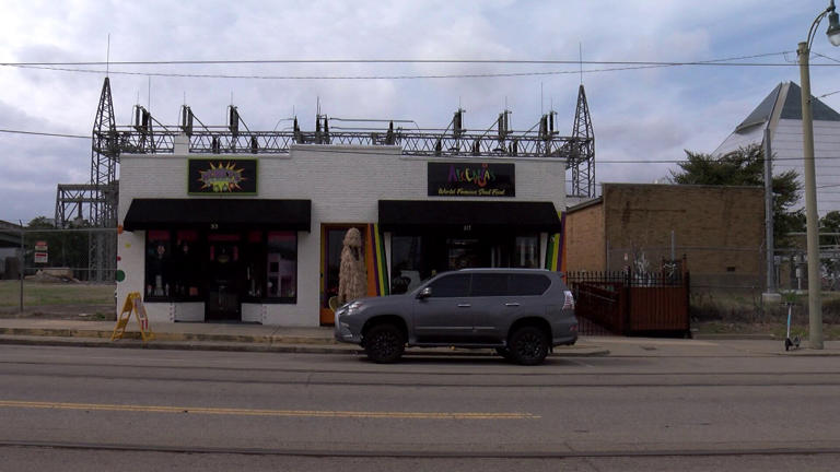 Alcenia’s owner calls for investment as Pinch District struggles to ...