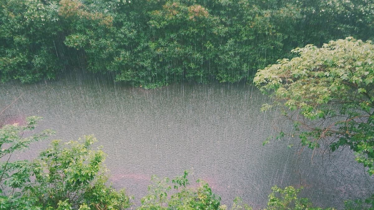 Yaw elected to lead tri-state conservation group