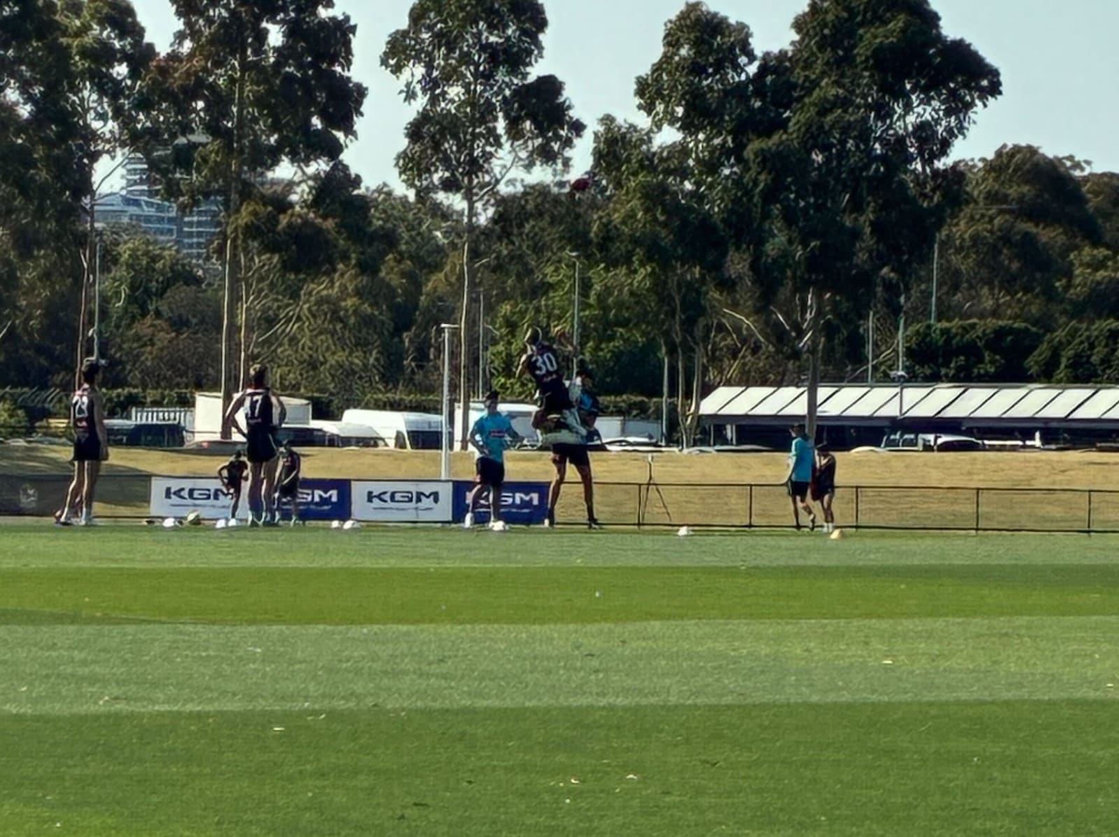 Pies pain: Collingwood captain, defender downed by same injury