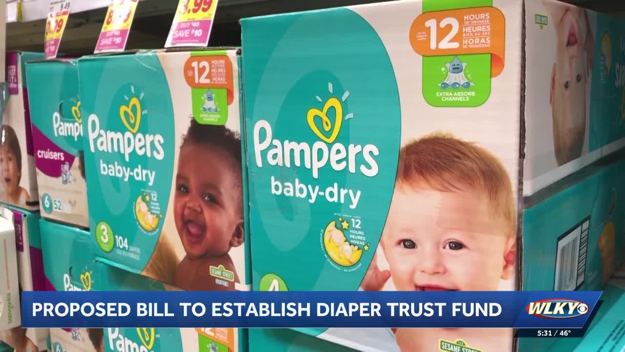 Kentucky lawmakers file bill that would establish diaper trust fund