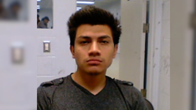 ICE removes 10 individuals with criminal histories from Minnesota ...