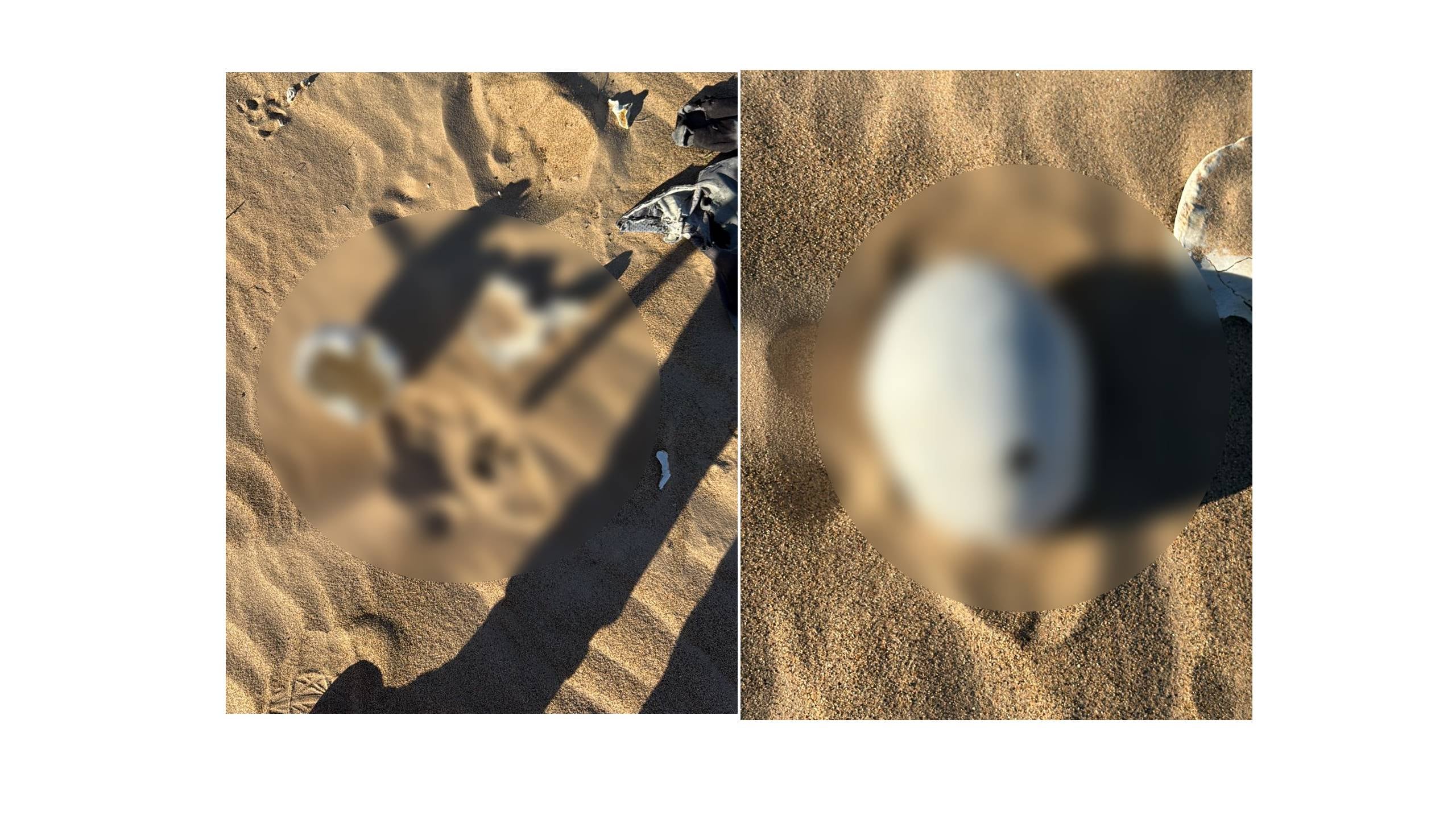 Donde la Fiscalía no busca, padres aplican georrastreo y hallan restos ...