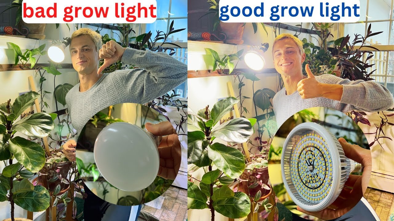 Great grow light bulb for house plants - Haus Bright smart LED - review