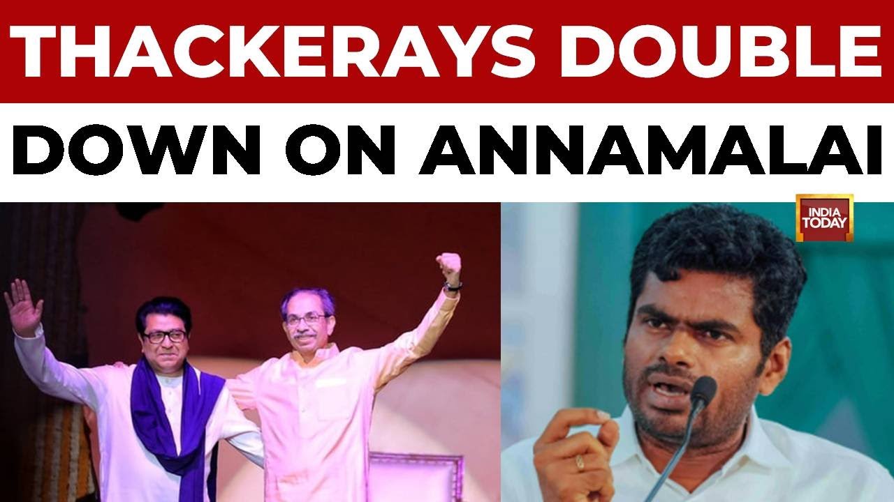 K Annamalai's 'international city' remark on Mumbai sparks war with ...