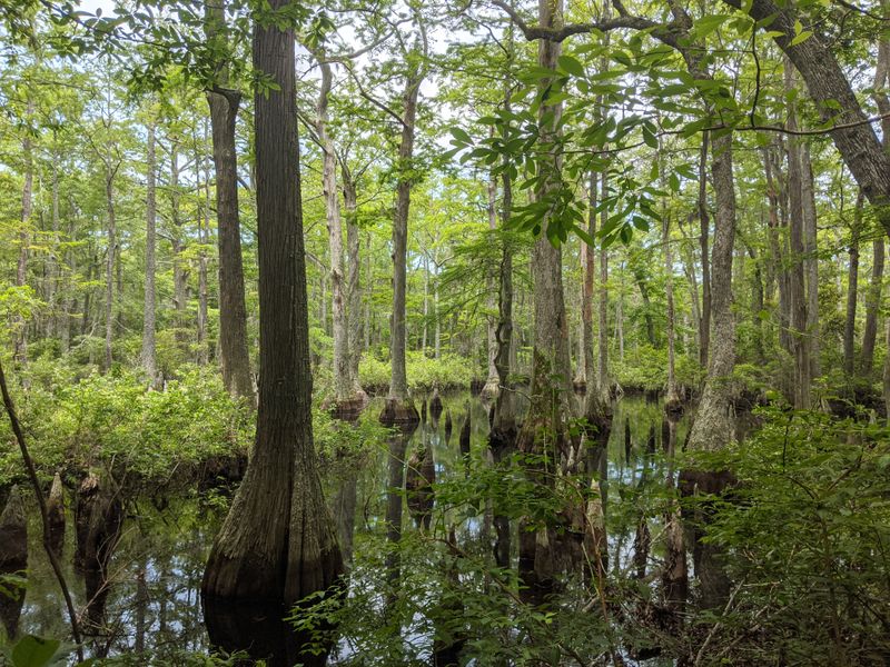 10 Virginia state parks you should explore at least once