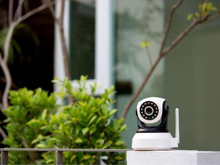 Hidden camera found in 80-year-old woman's potted plants: report