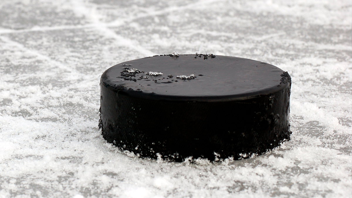Pa. youth hockey organization issues statement after 'staged fight' at game