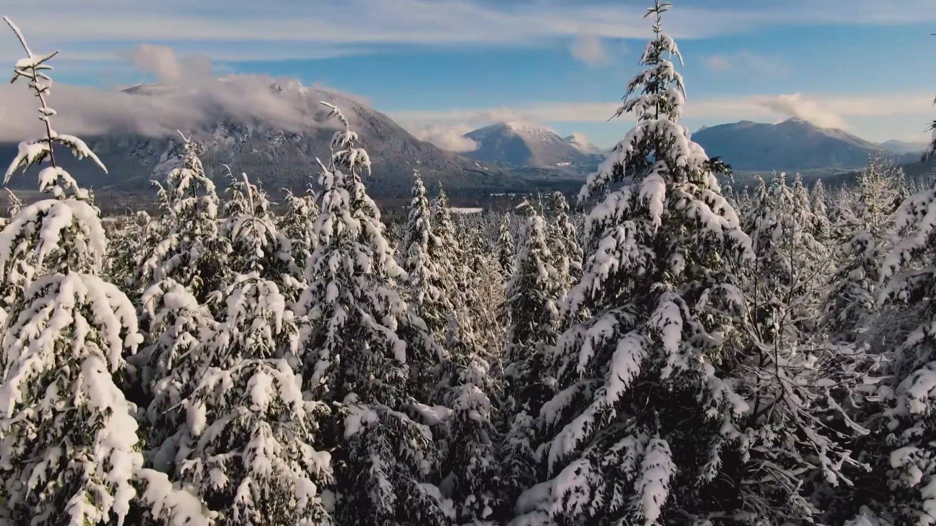 Victims of Jan. 9 deadly avalanche identified