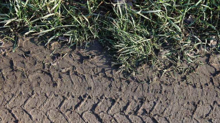 US state denies appeal of woman fined $100K for parking in her own driveway