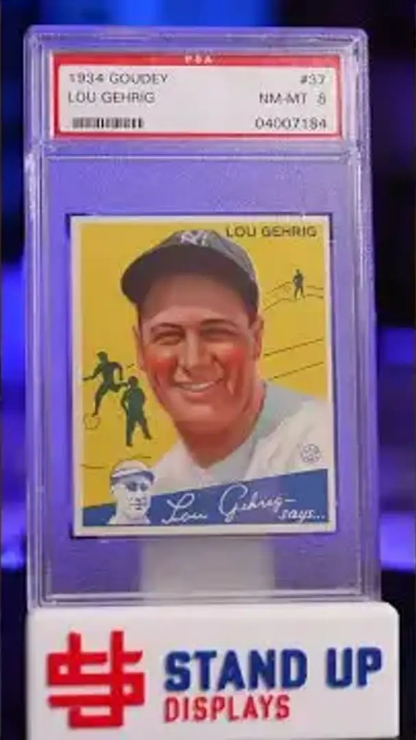 It's impossible to beat this collection