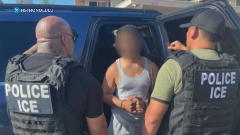 ACLU Hawaii urges immigrant protections as legislative session approaches