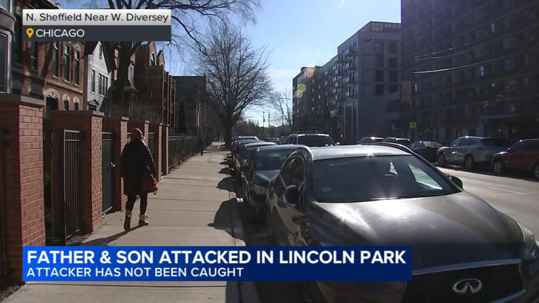 2 injured, including 6-year-old boy, in Lincoln Park attack, Chicago ...
