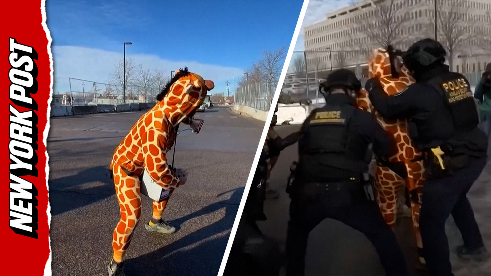Protester in giraffe costume taken down by ICE