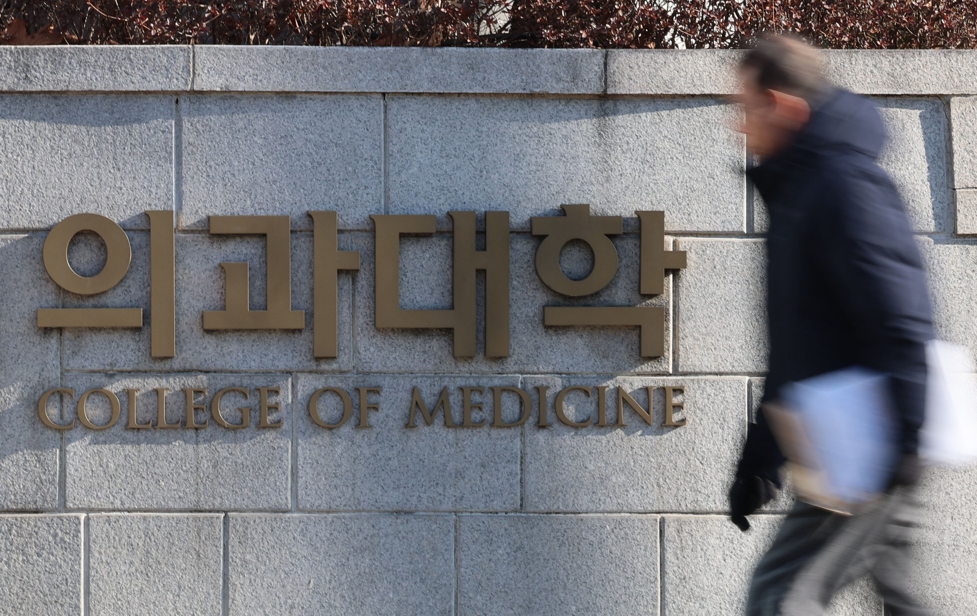 Medical professors urge halt to 2027 medical school quotas