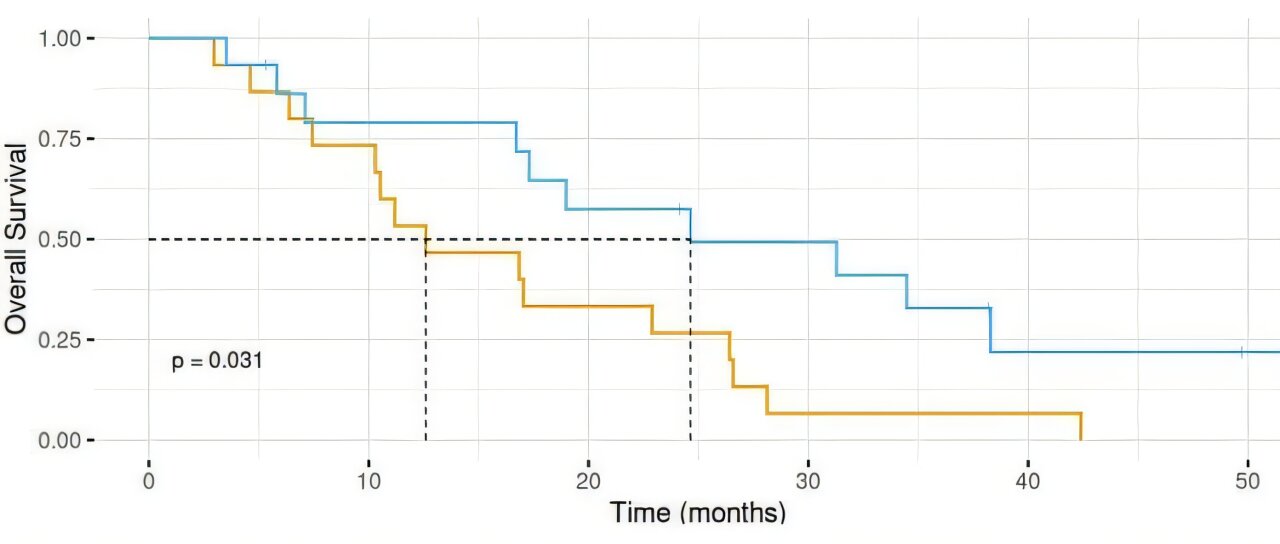 A novel DNA-based therapy achieves significant increase in overall ...