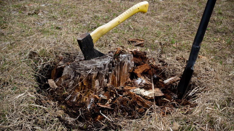 Remove stubborn stumps like a pro: The best tools for the job