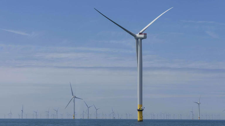 Une claque pour le président : La justice américaine autorise la ...