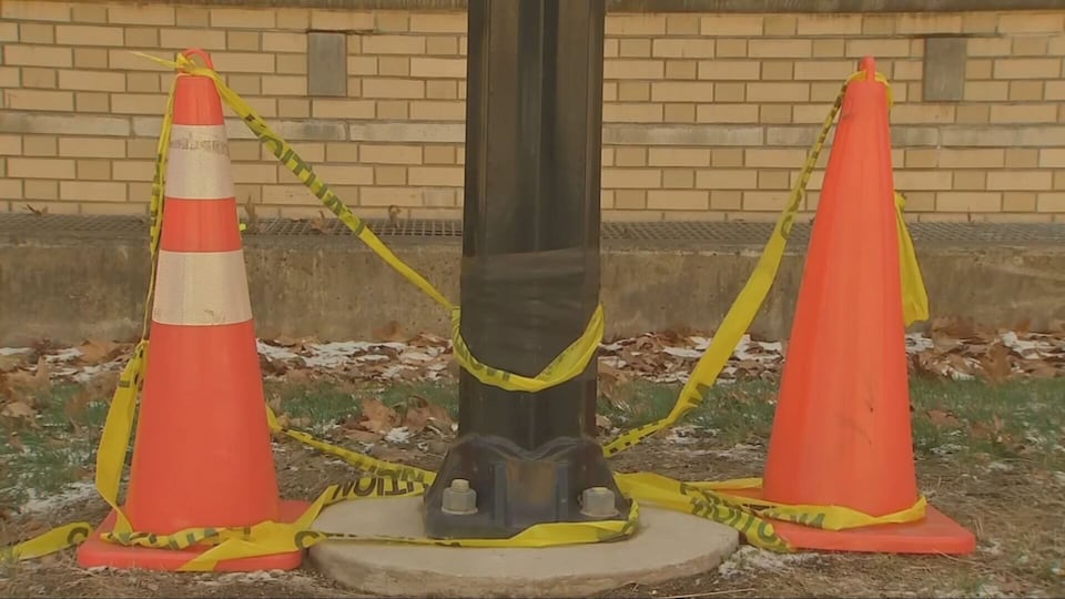 3 dogs injured or killed after being shocked while walking on city ...