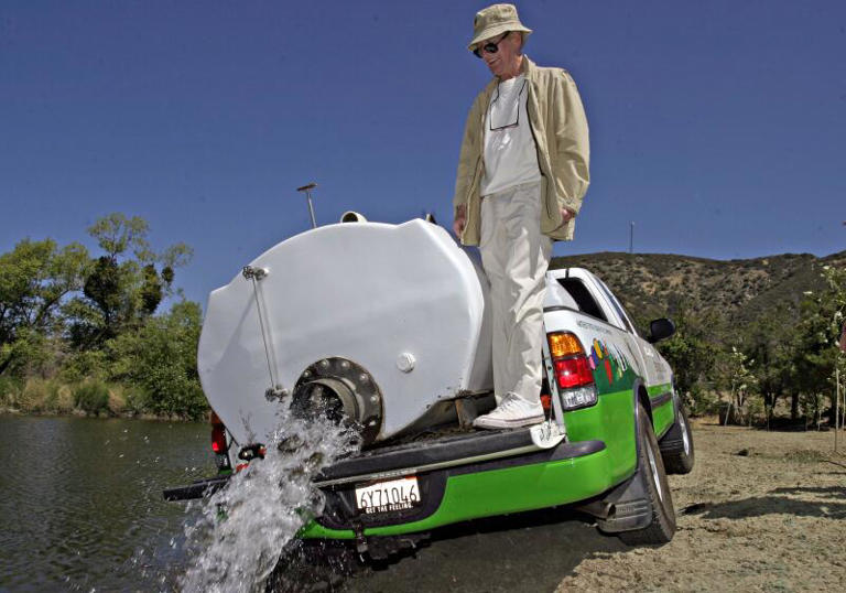 Ex-CEO of Paul Newman-founded nonprofit for sick kids embezzled over $5 ...