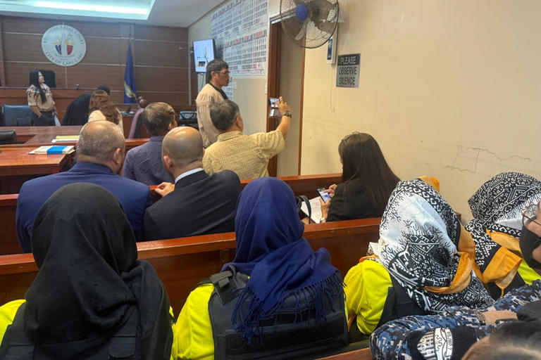 Sarah Discaya pleads 'not guilty' to graft, malversation in 'ghost ...