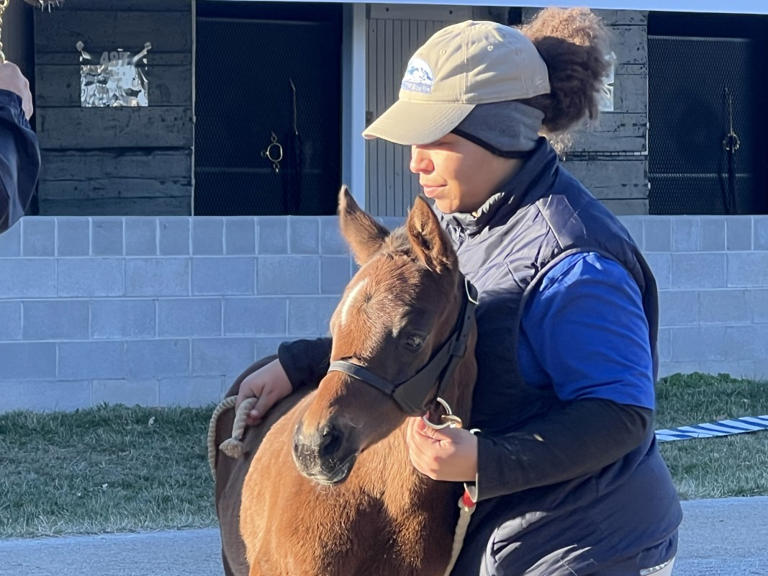 Video: Six-day-old Taiba foal steals the show at Keeneland January sale
