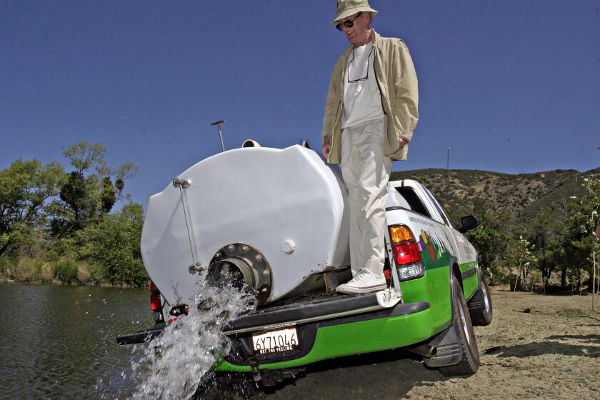 Ex-CEO of Paul Newman-founded nonprofit for sick kids embezzled over $5 ...