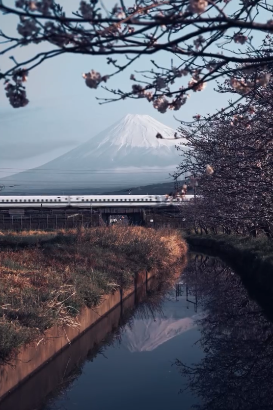 Shinkansen, Sakura, and Mount Fuji in one view