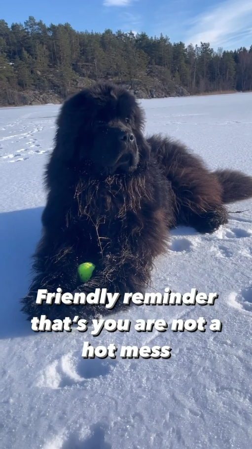This gentle giant thinks snowy hikes are hilarious