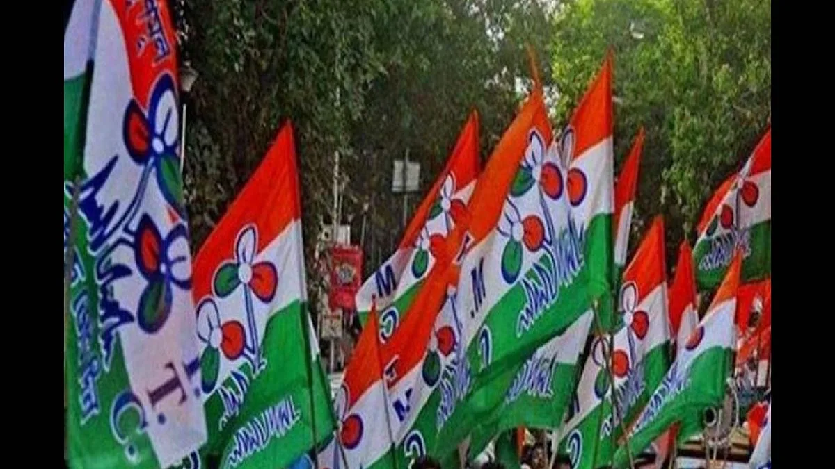 TMC delegate meets CEO, flags Form 7 fraud