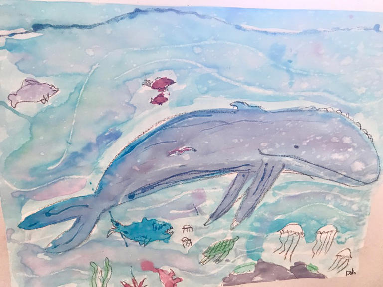 ‘We’re not giving up’: Nonprofit Kona art school looks to rebuild aging ...