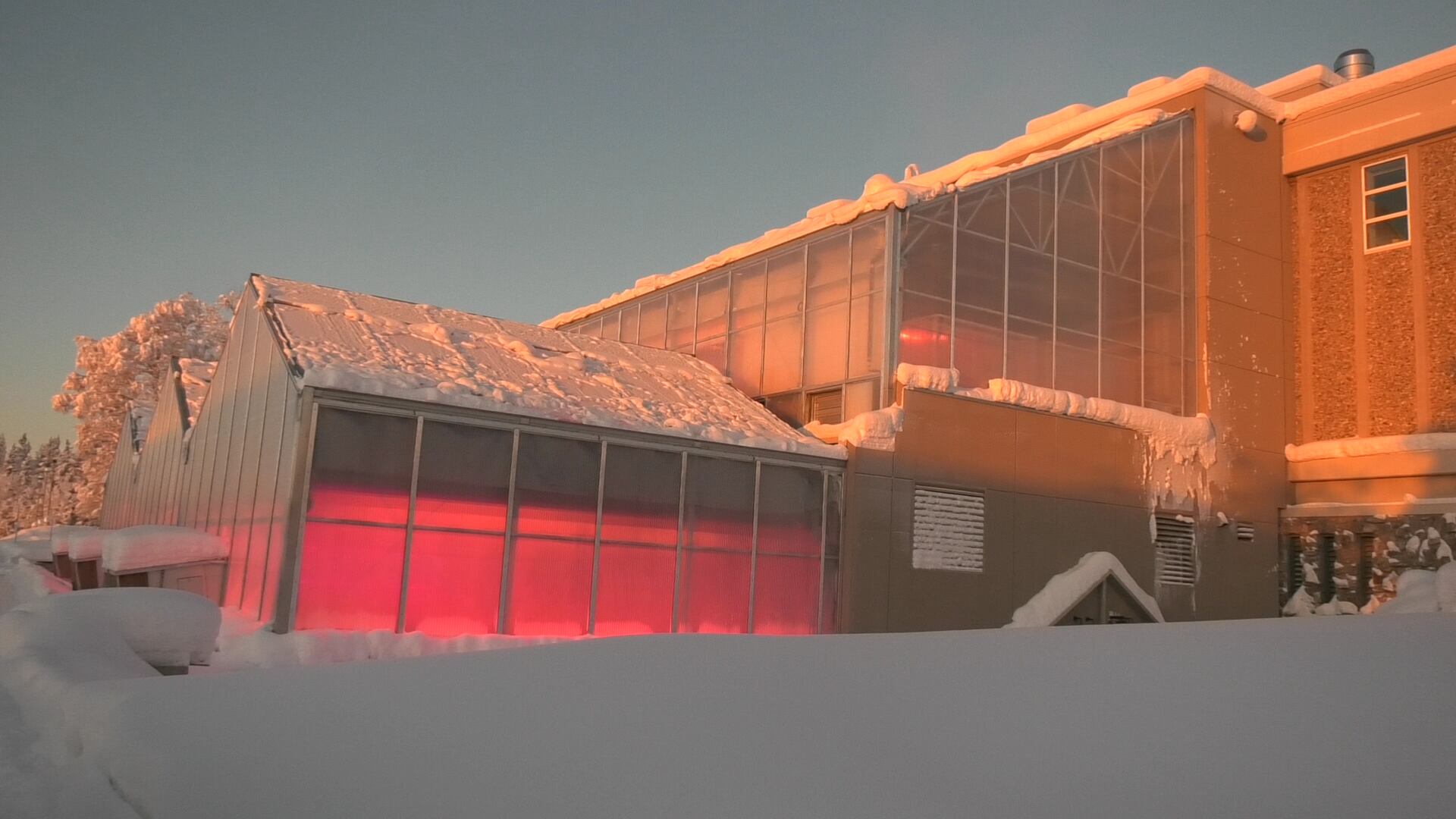UAF researchers use technology to grow food during Alaskan winters
