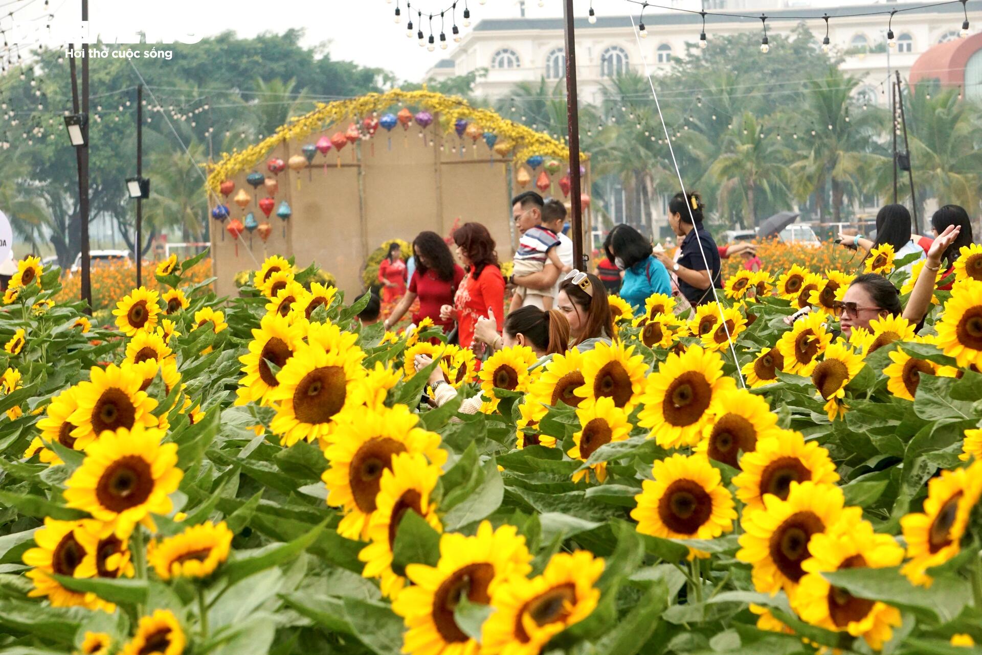 Người dân 'lên đồ' check-in vườn hoa Tết ở TP.HCM