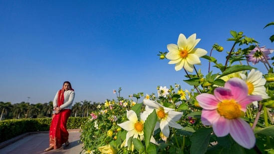 HT City Delhi Junction: Catch it live on January 13 in Delhi, Noida and ...