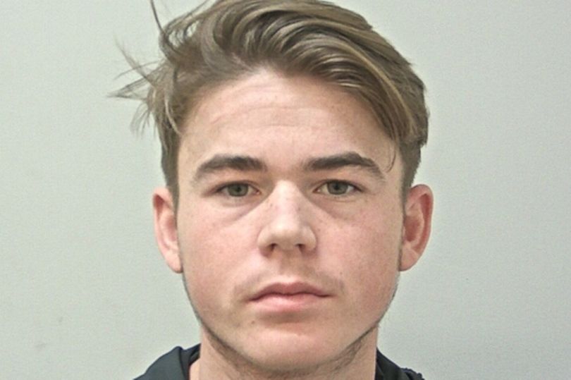 Teen took man's eye out with catapult when he was told to stop shooting ...