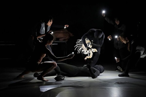 국립공주대 무용학과 김경신 교수, 신작 'JASON Project' 첫 공개