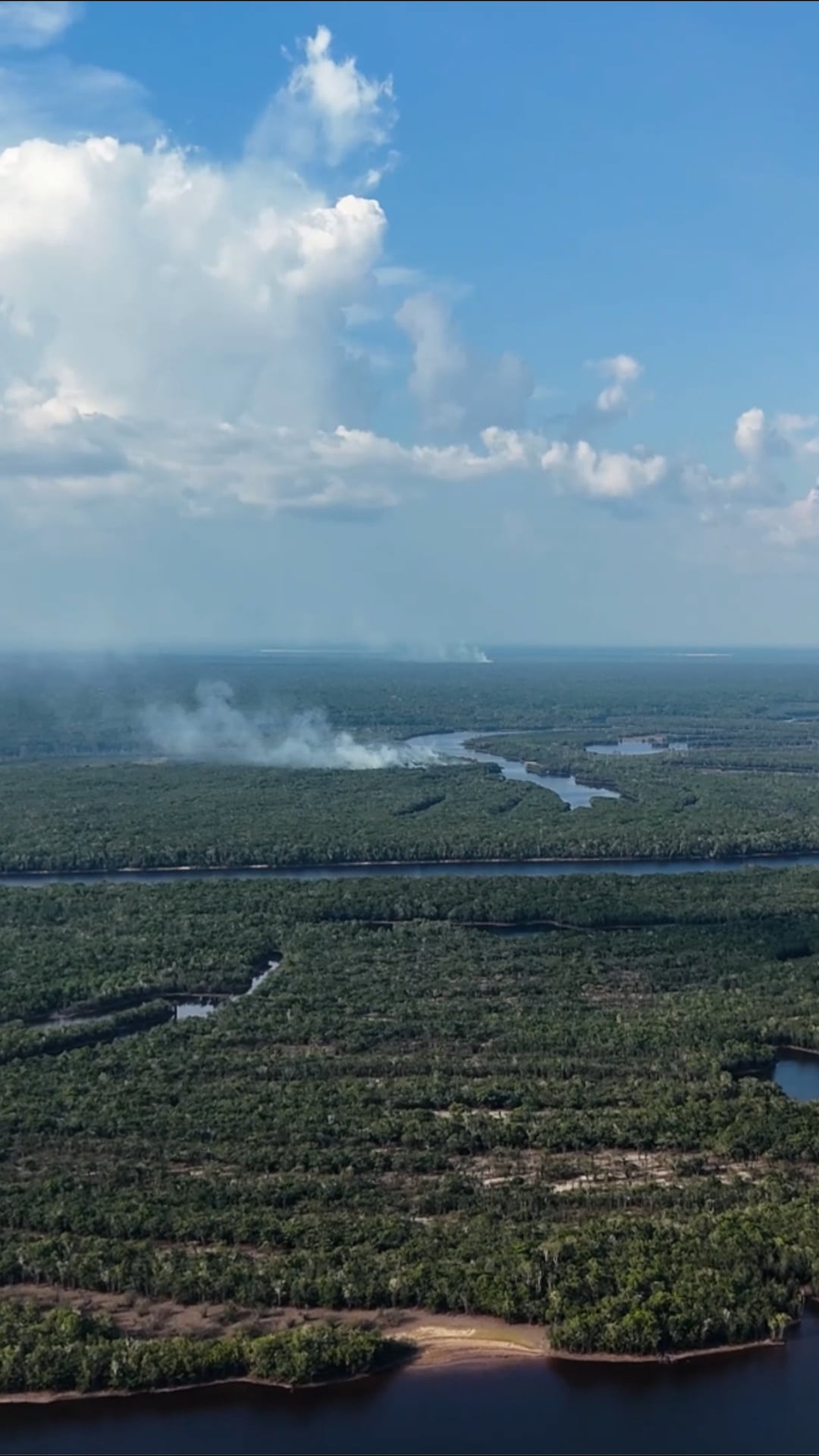 Amazonas inferno: Drönarbilder avslöjar omfattande förödelse