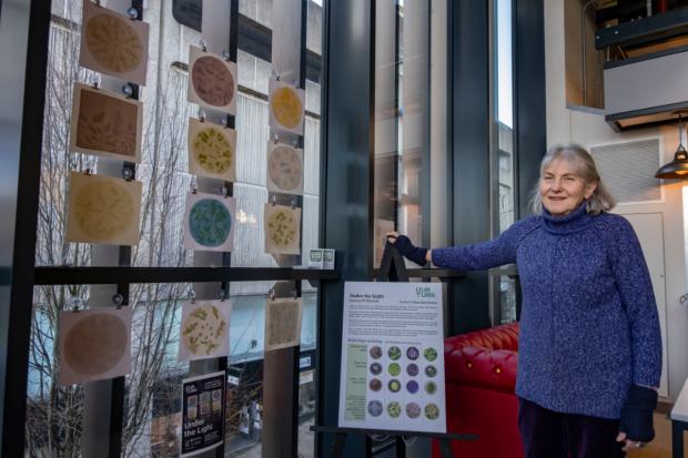 ‘Under the Light’ exhibition brings plant-based photography to Bradford