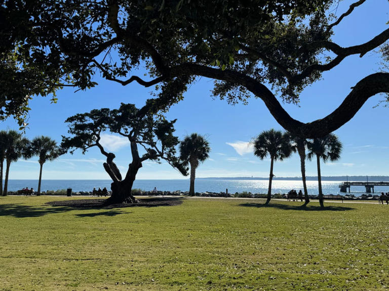Georgia’s Golden Isles: Discover Brunswick, St. Simons, Jekyll, and Sea ...