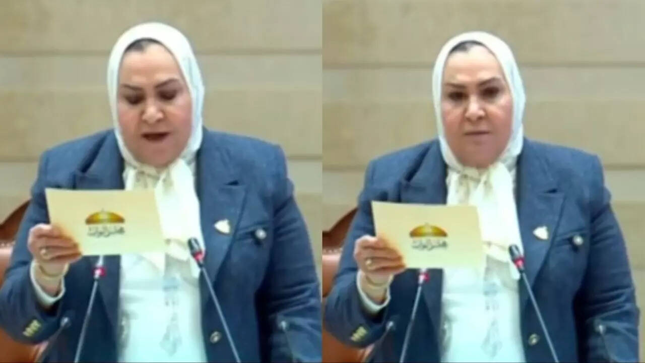 Who is Abla El Hawary, Egypt's first woman to lead parliamentary ...