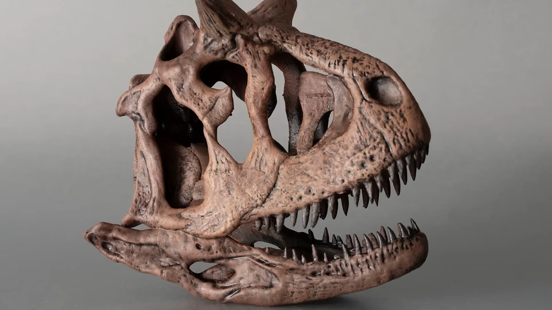 Why Carnotaurus looked small but fought brutally