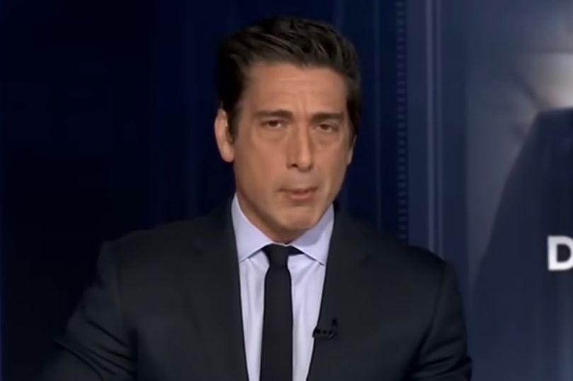David Muir fans brand Donald Trump a 'liar' as ABC show halted for ...