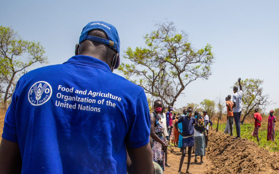 Zimbabwe rolls out FAO voucher programme as El Niño threatens food security
