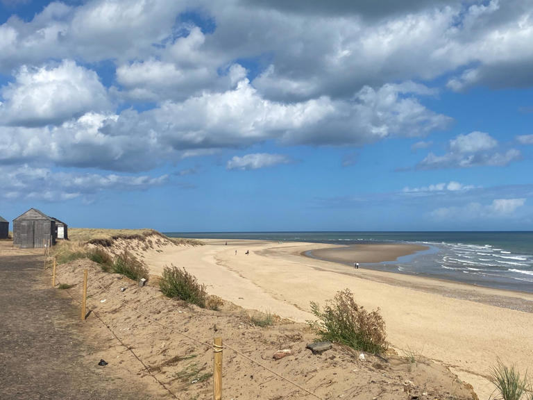 Still time to spot seal pups at Winterton-on-Sea, Norfolk
