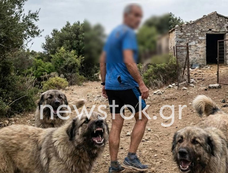 «Φώναζα και δεν με άκουγε κανείς»: Εφιάλτης στη Γορίτσα για 60χρονο που ...