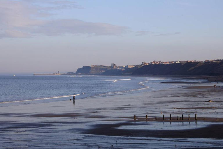 Unspoilt beach 60 miles from Hull with golden sands and perfect for foodies