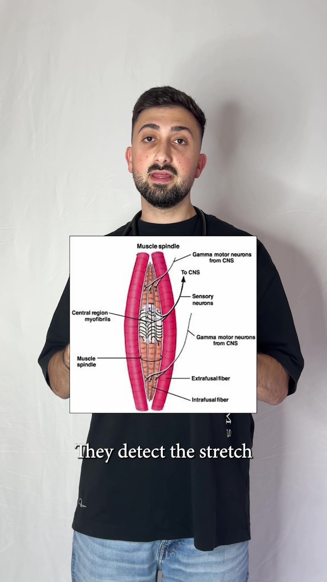 Why The Doctors Tap Our Knee? Science Explain