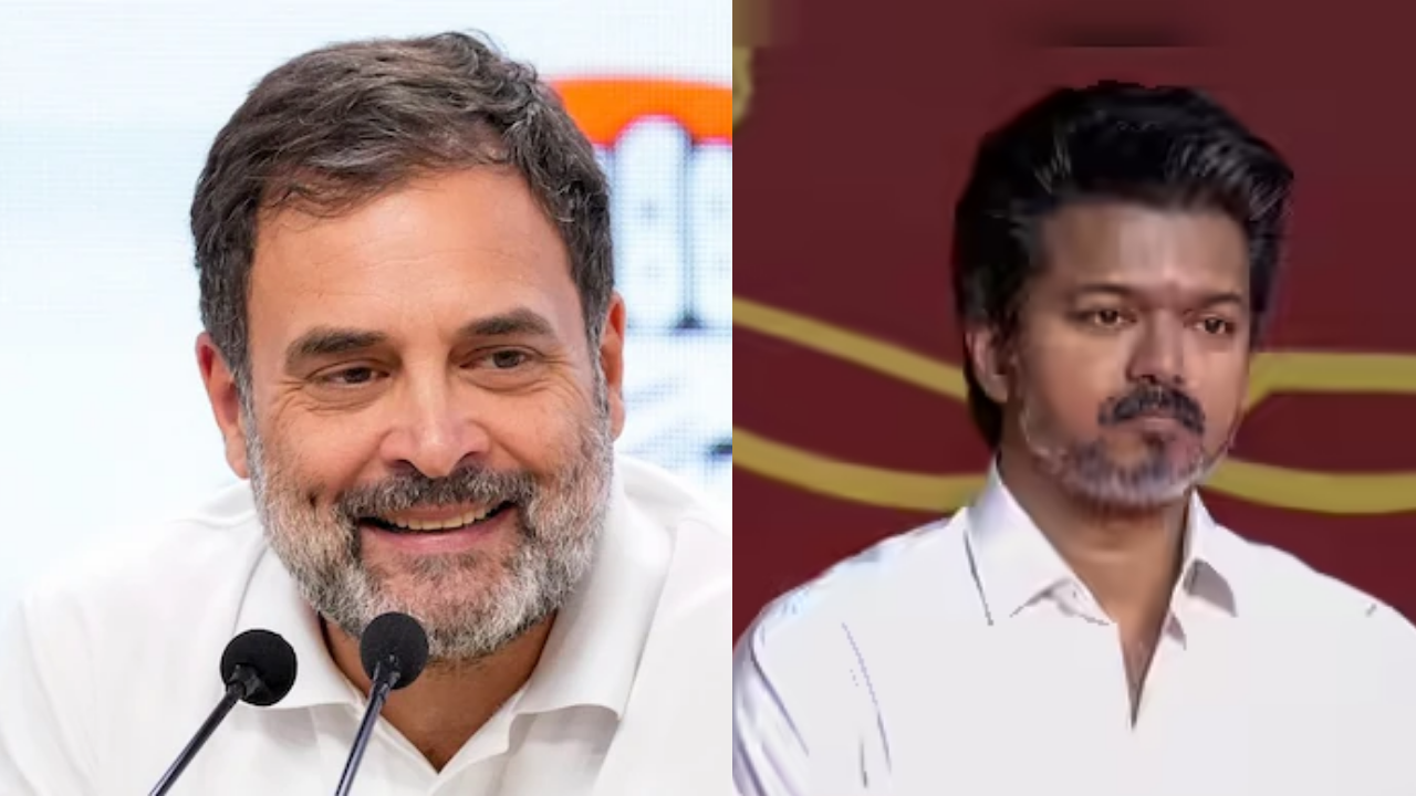'Mr Modi, you will never succeed': Rahul Gandhi backs Vijay-starrer ...