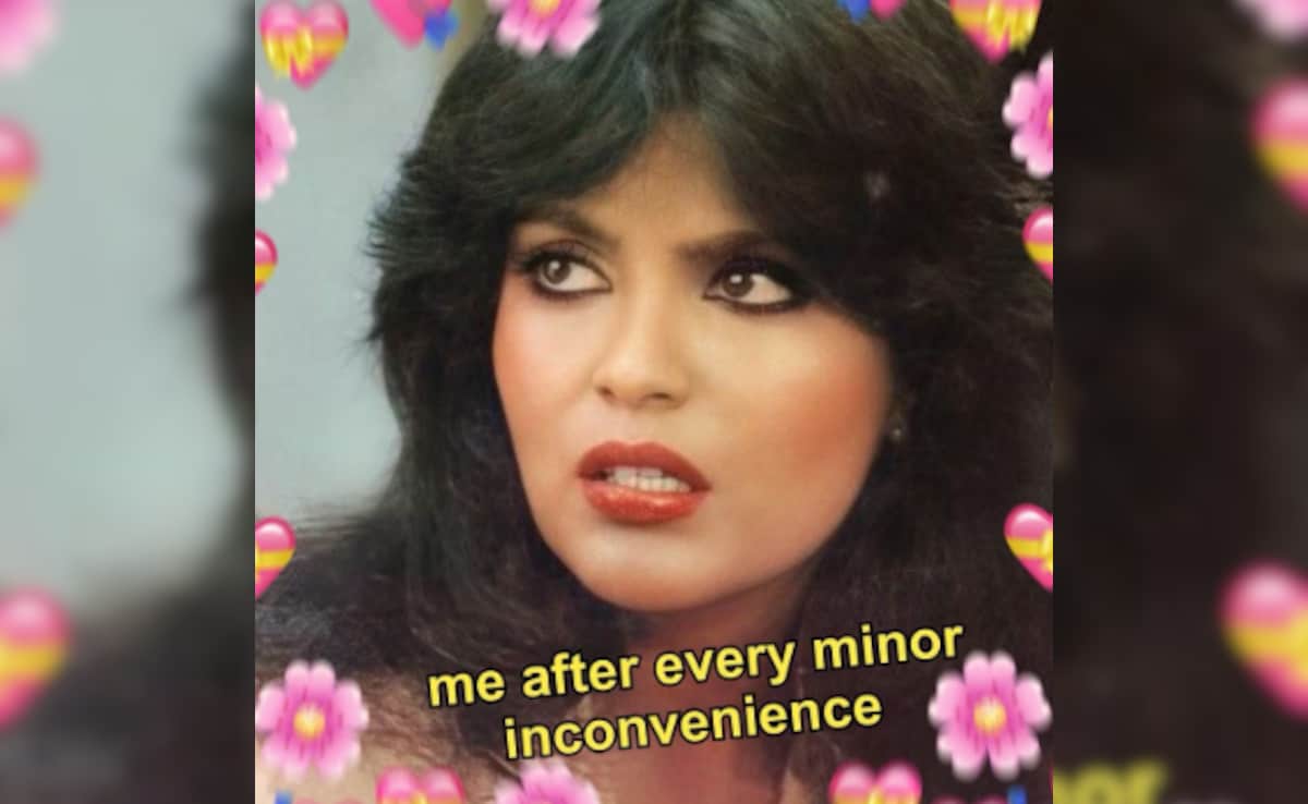 Zeenat Aman in a Gen-Z styled 'Meme-At Aman series' for breaking her ...