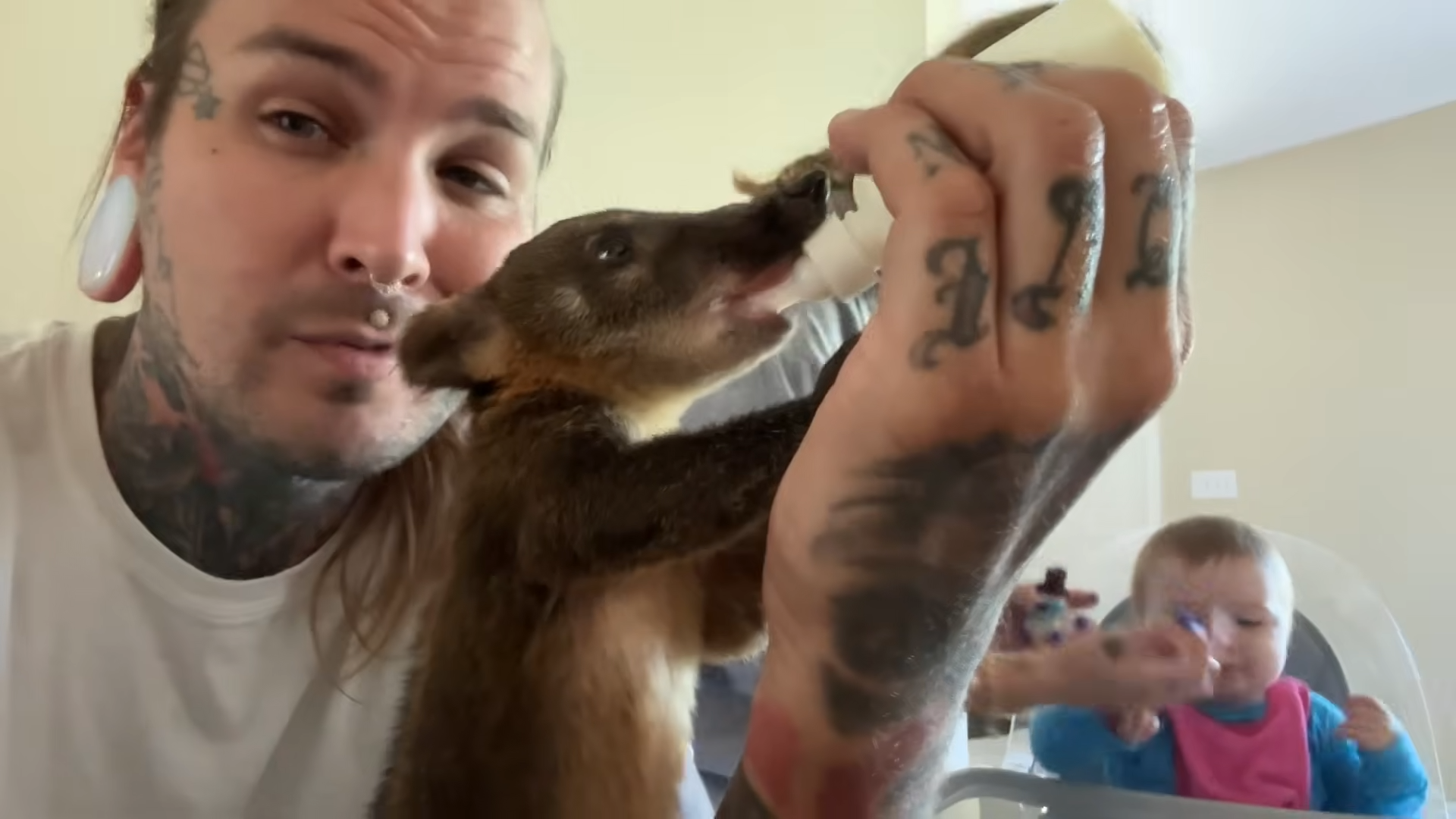 Meet Chaka and the risks of keeping a wild animal